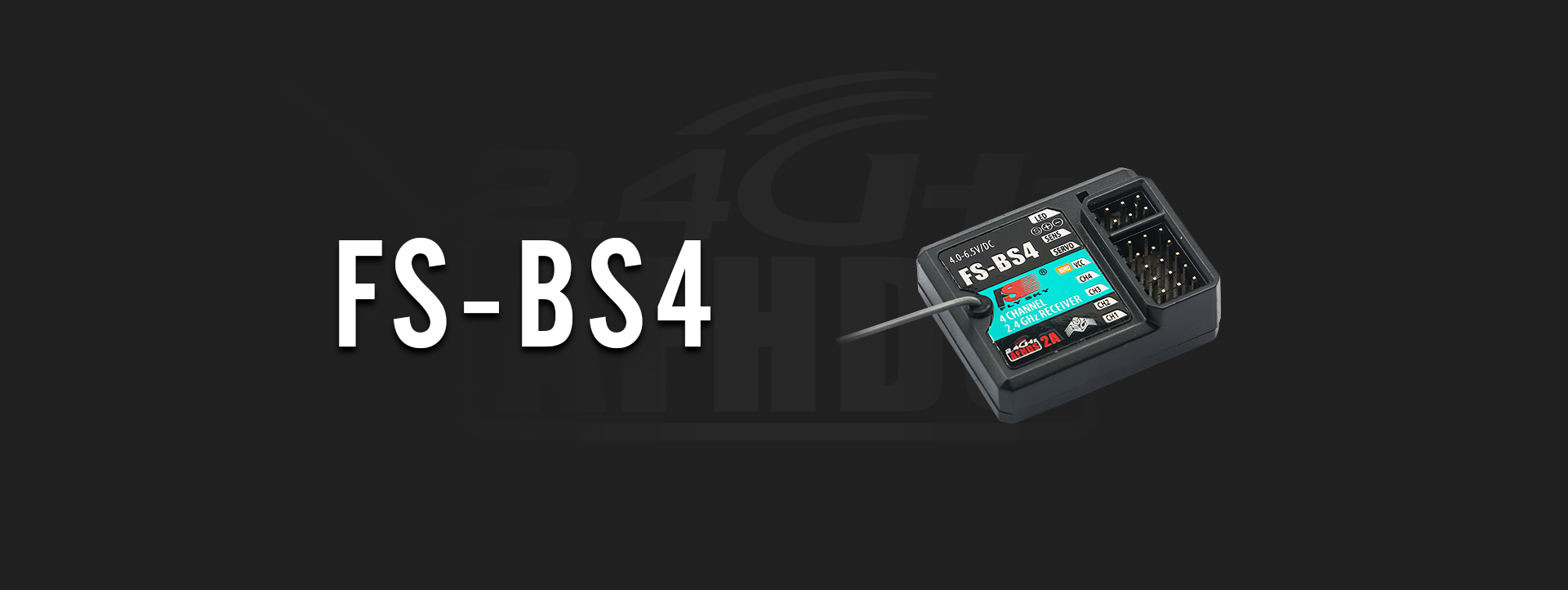 FS-BS4